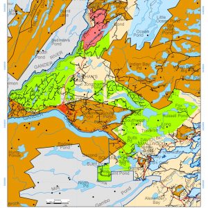 Domestic Wood Cutting Permit – Newfoundland Forest Safety