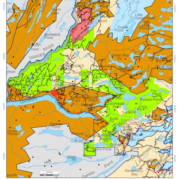 Domestic Wood Cutting Permit – Newfoundland Forest Safety