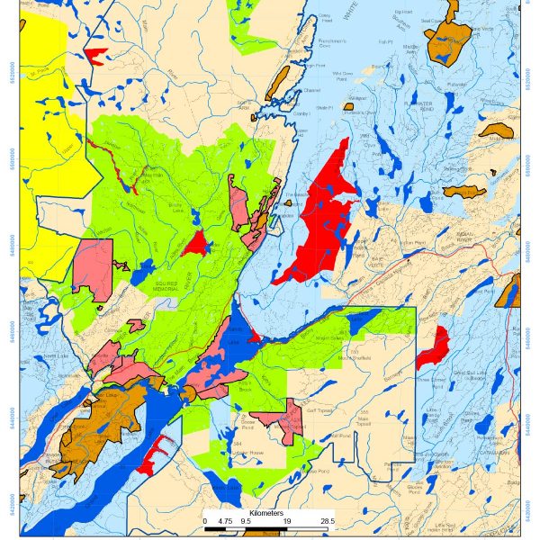 Domestic Wood Cutting Permit – Newfoundland Forest Safety