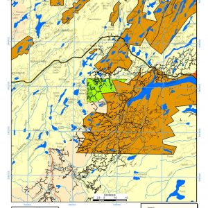 Domestic Wood Cutting Permit – Newfoundland Forest Safety